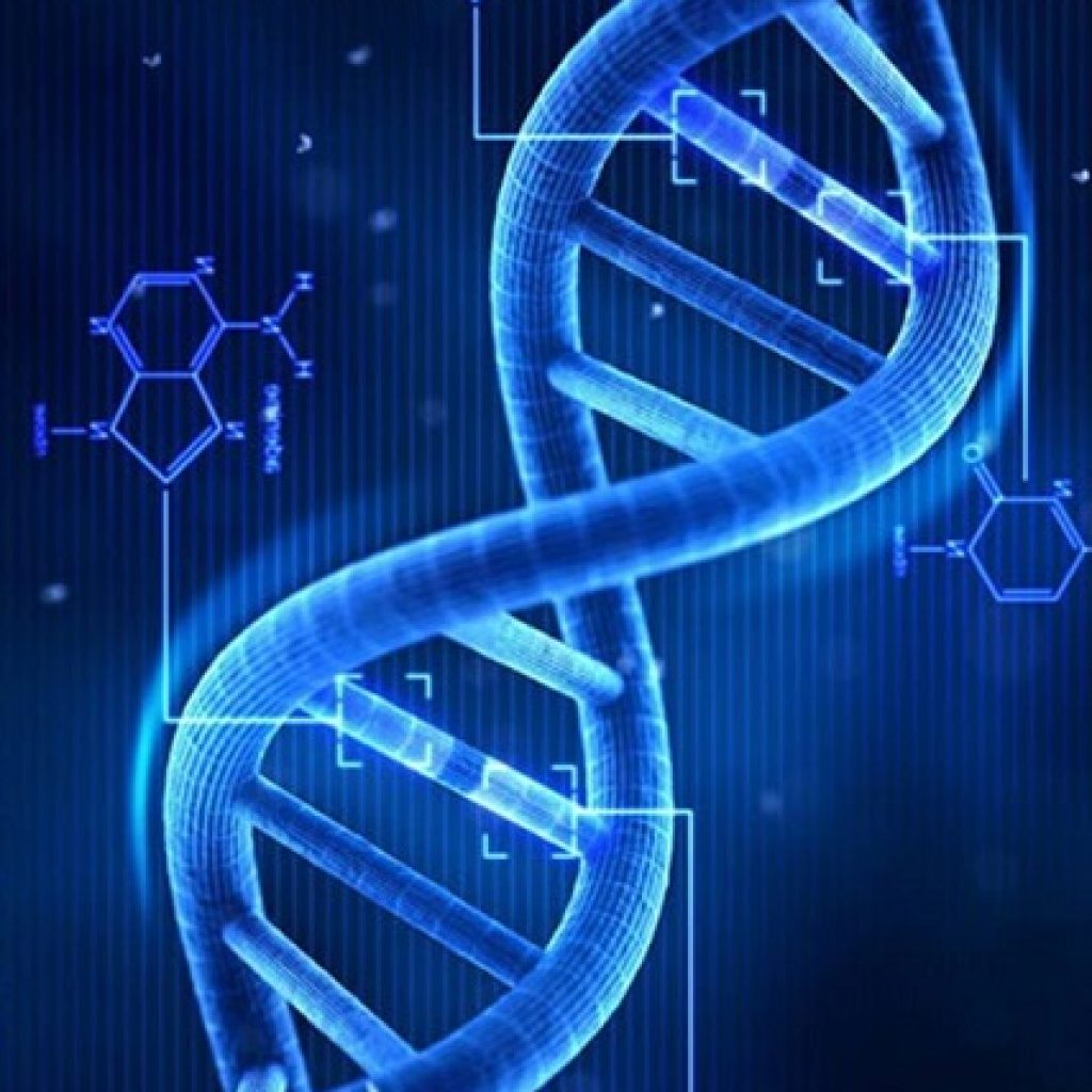 transmission-adn | Transmission Lab